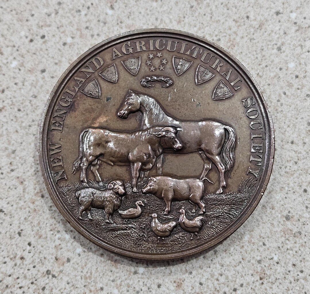 Vintage 1875 New England Agricultural Society Awarded to "ira A. Moore ...