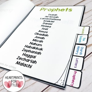 Books of the Bible Flip Book, Sunday School Christian Resource (digital ...