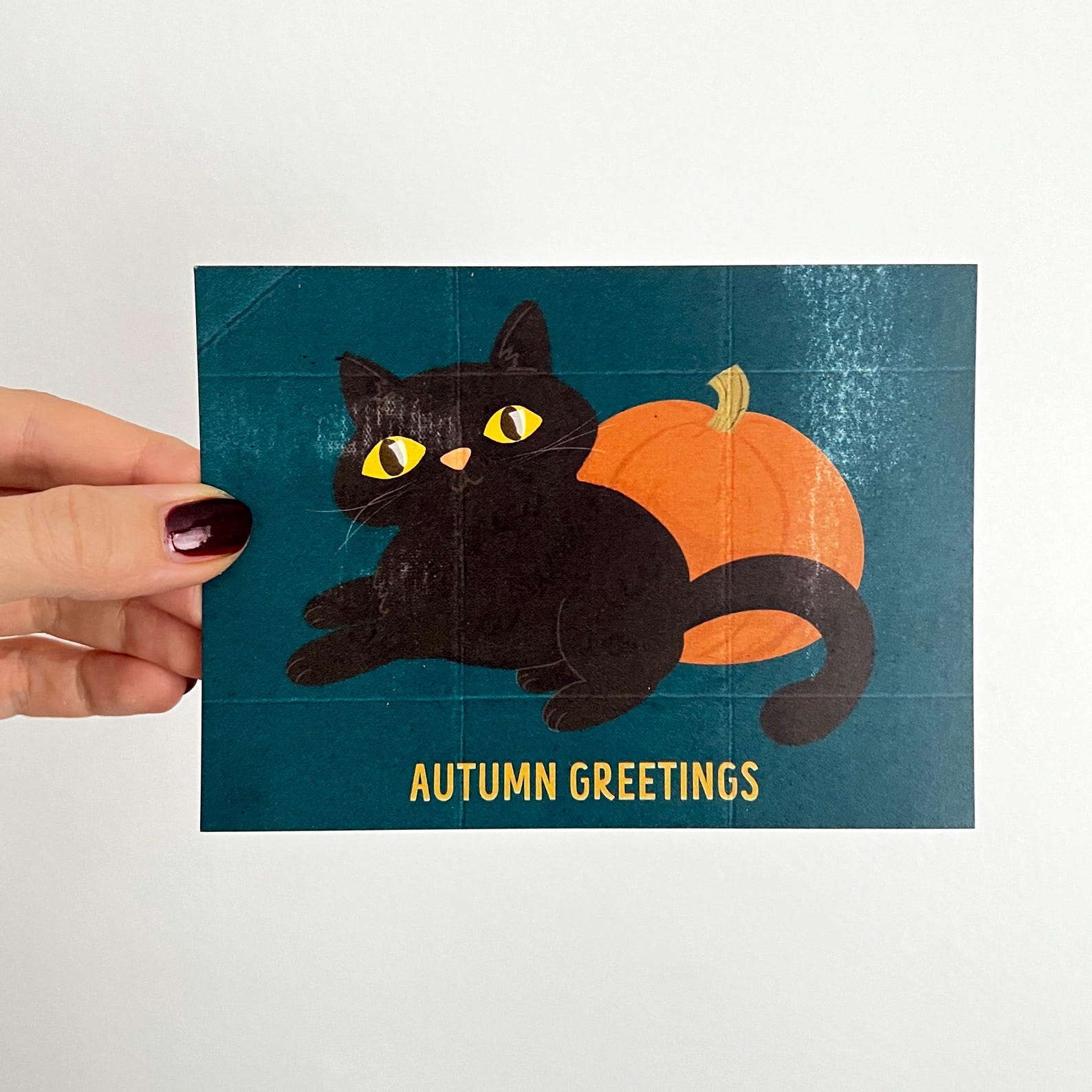 Cat Postcards, Set of 6 - Get Well Soon, Wish You Were Here Cards ...