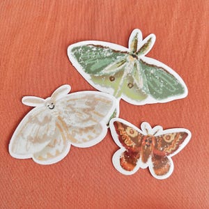 Friendly Moths Sticker Set of 3 - Glossy Vinyl Sticker - Insect ...