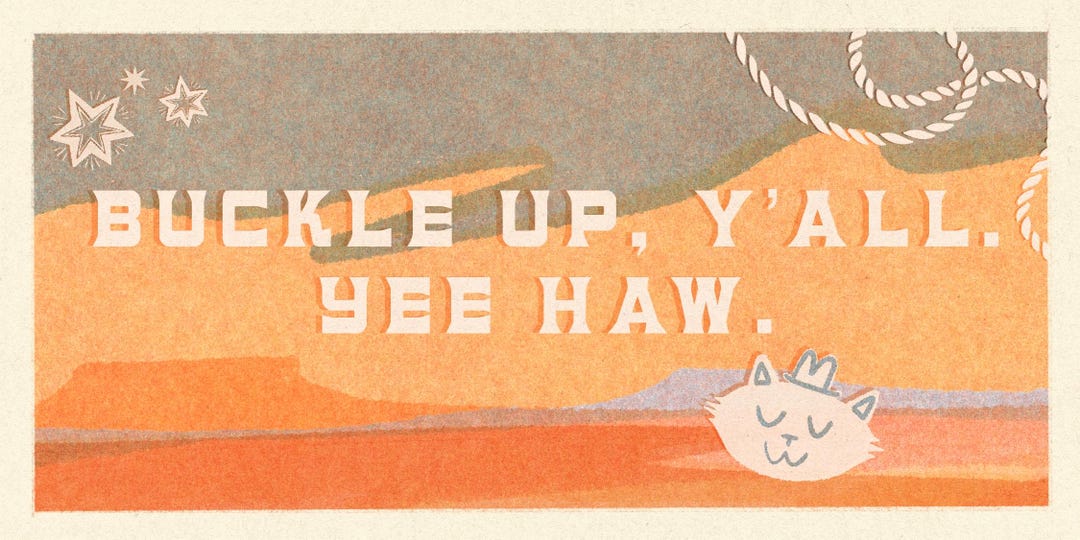 PREORDER - Student Driver Bumper Sticker - Yee Haw Western Desert ...