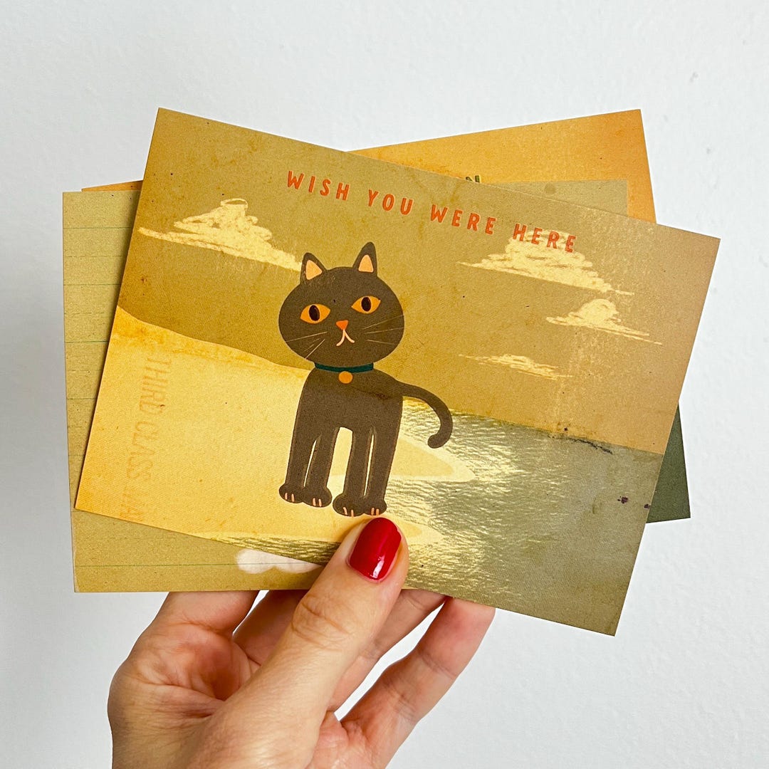 Cat Postcards, Set of 3 - Get Well Soon, Wish You Were Here Cards ...