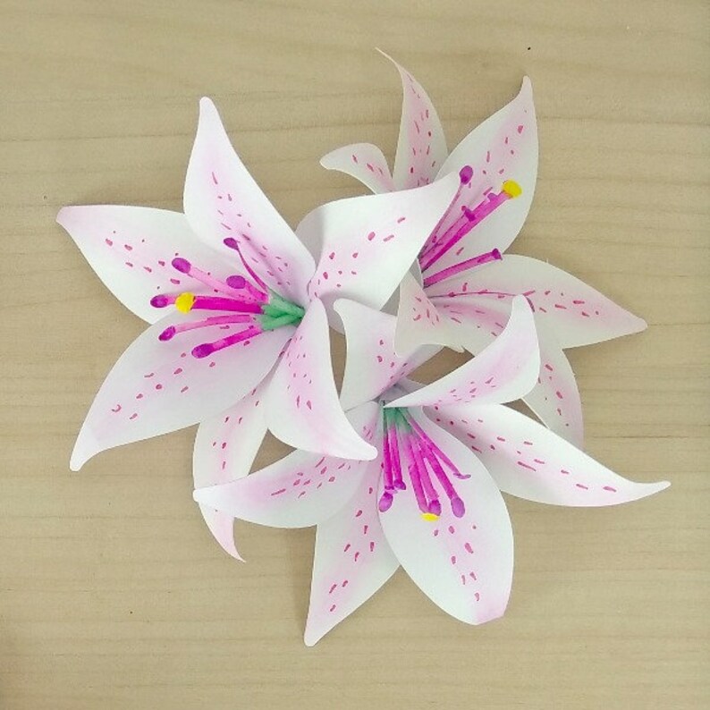 Flower # 86 With Foliage - Templates - SVG - Scan&cut - Silhouette ...