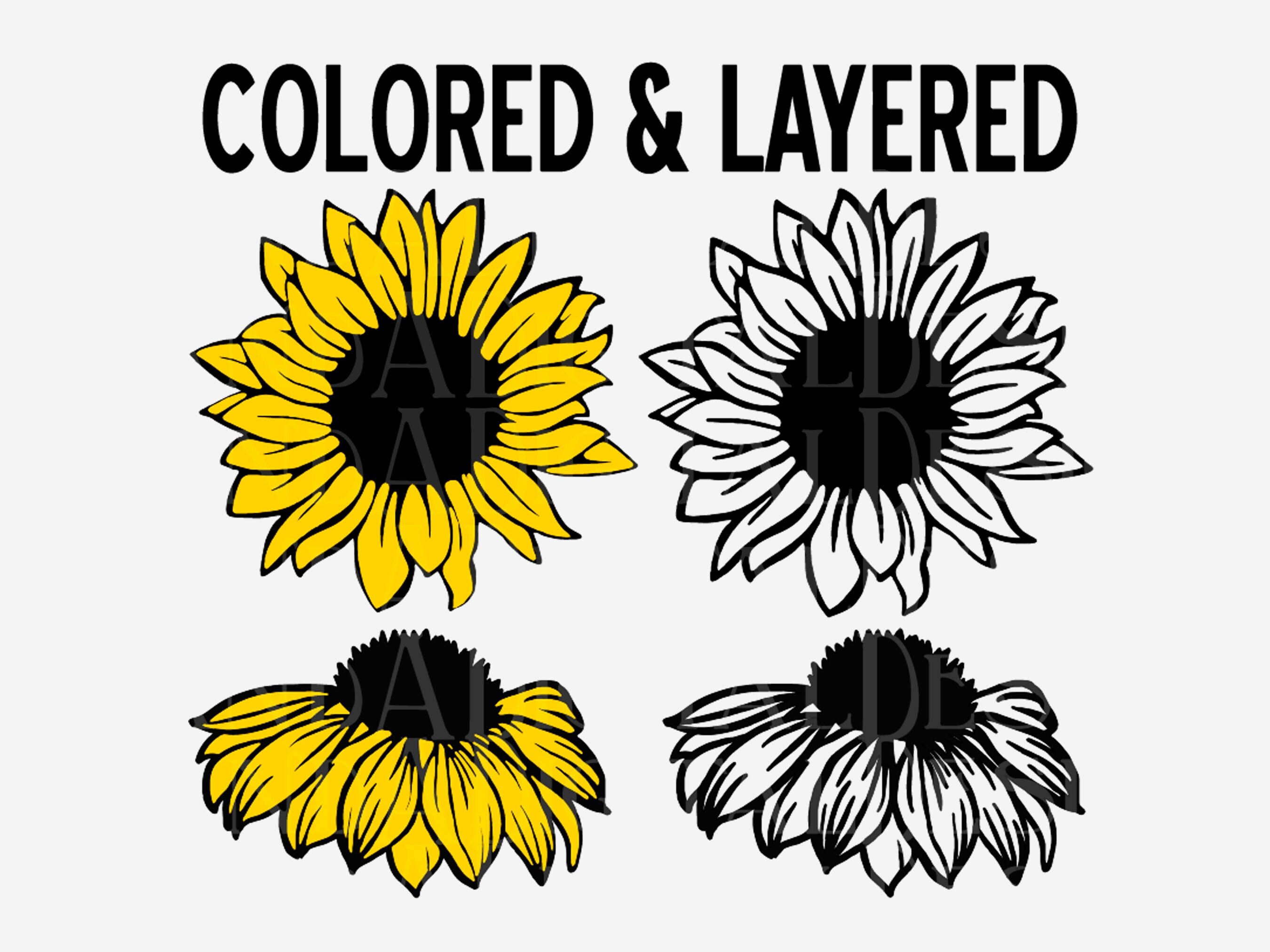 Sunflower SVG Sunflower PNG Fall Svg Sunflower Flower Svg - Etsy