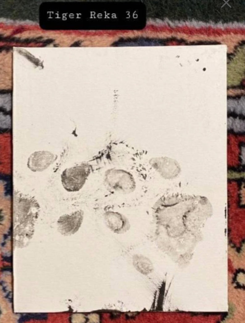 Tiger Paintings 1 - Etsy