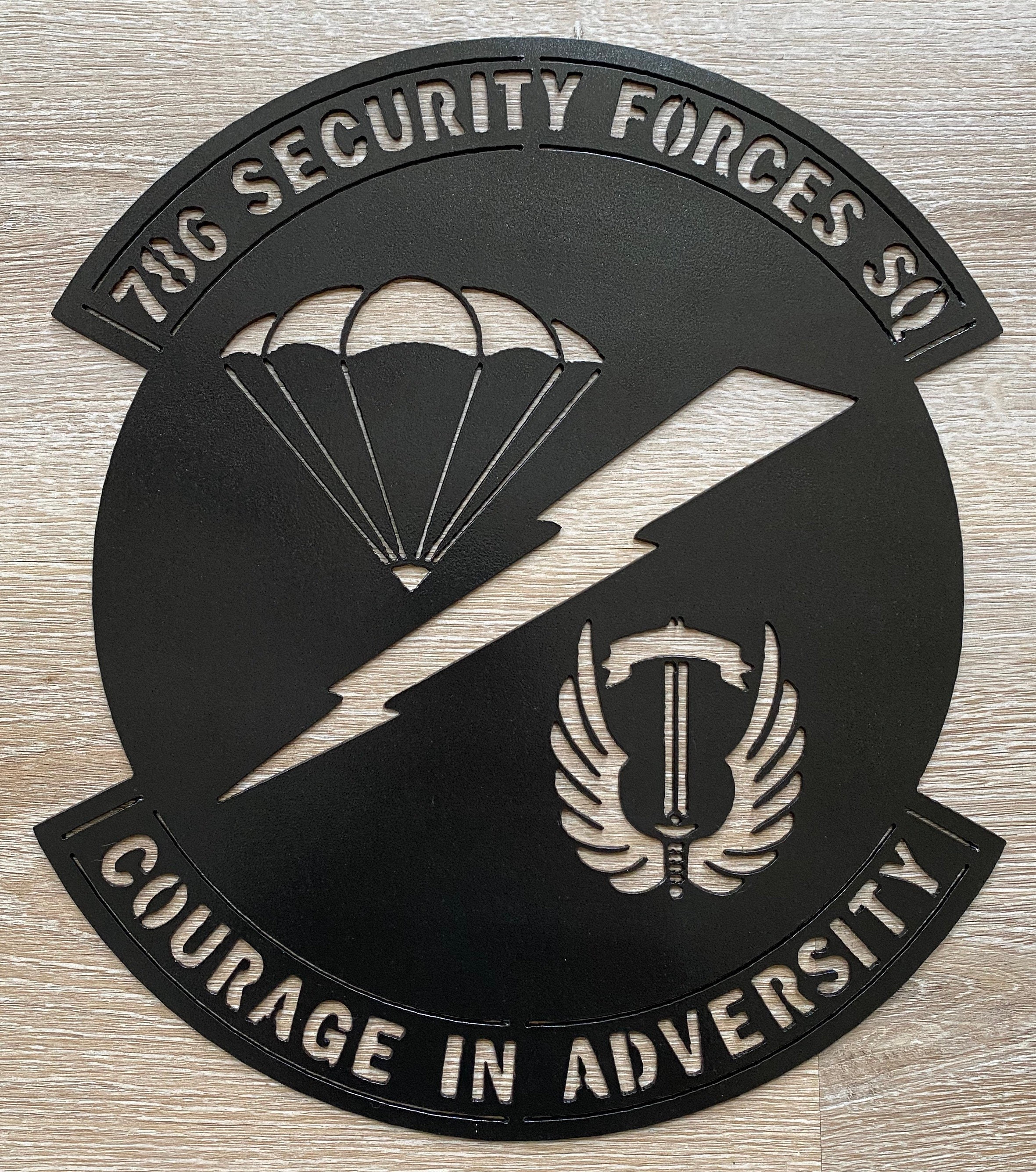 786 SFS Unit Crest - Etsy