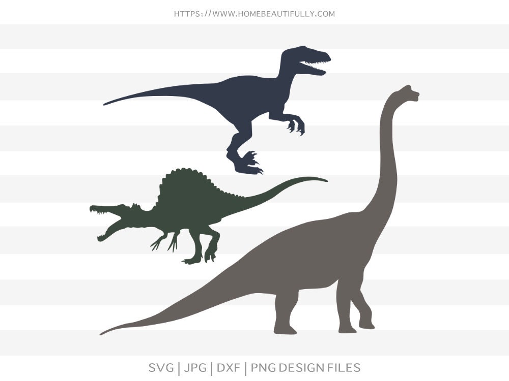 Dinosaur SVG Bundle | Cut Files for Cricut | Cut File for Cameo ...