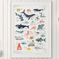 Ocean Alphabet Poster: Educational Animal Alphabet ABC Poster With Cute ...