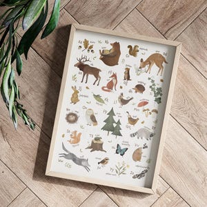 Woodland Themed Nursery Alphabet Print With Forest Animals, Educational ...
