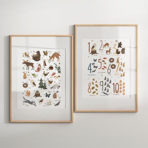 Woodland Nursery Prints Set of 2 or 3, Educational Alphabet and Numbers ...