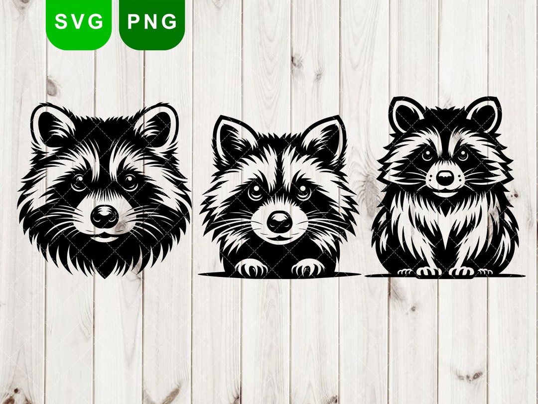 Rocconon Bundle Svg, Png, Raccoon Svg, Racoon Svg, Cute Raccoon Svg ...