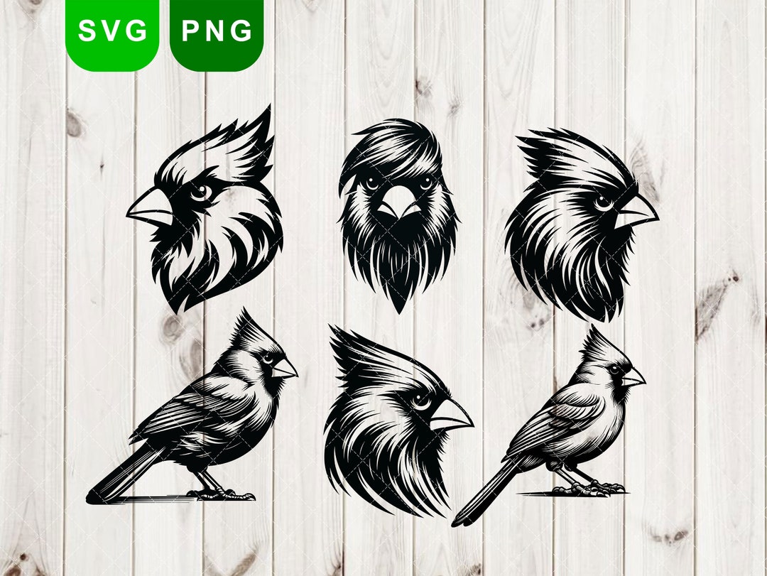 Cardinal Bundle Svg, Cardinal Head SVG, Cardinals Svg, Cardinal PNG ...