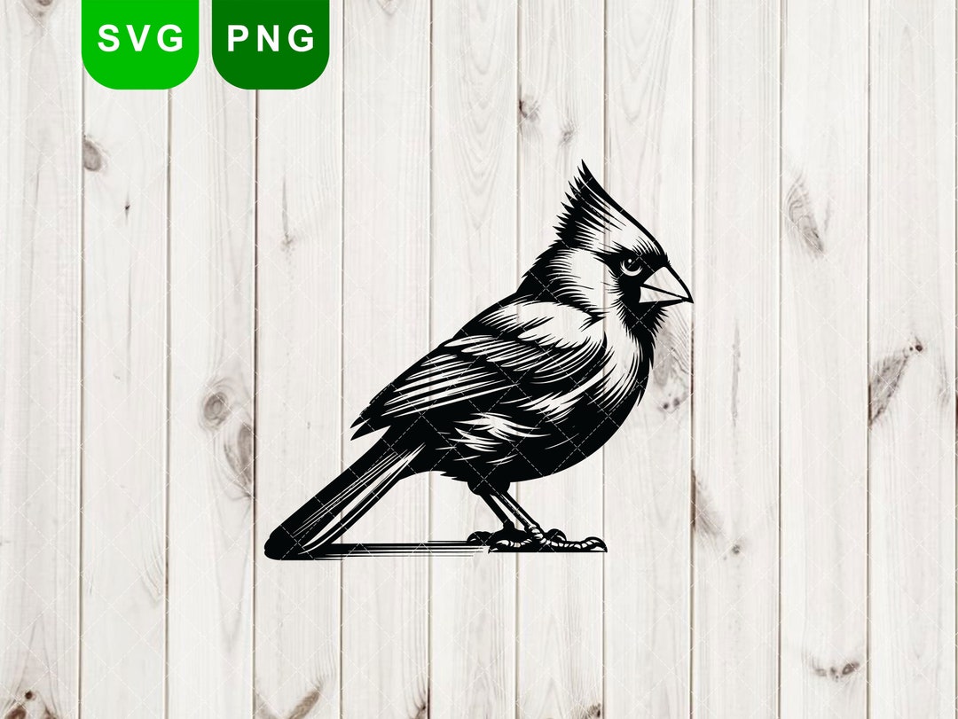 Cardinal SVG, Cardinal PNG, Cardinal Clipart, Cardinal Silhouette ...