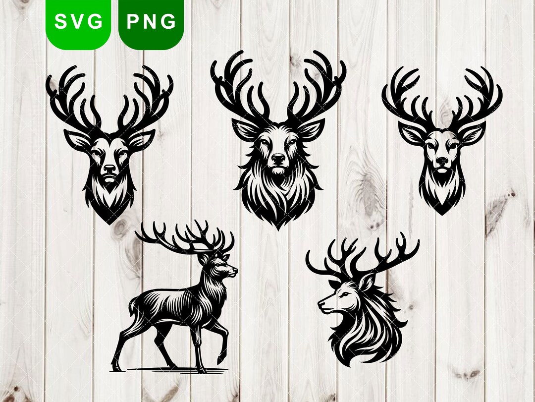 Deer Vector Illustration Bundle, SVG, Png, Deer Head Svg & PNG Files, Buck Hunting Clipart, SVG ...