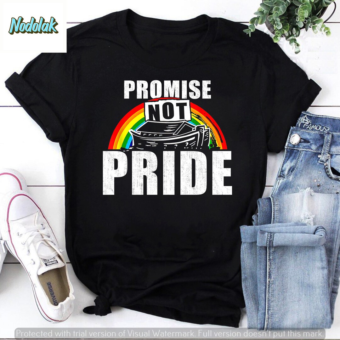 Promise Not Pride Bryson Gray Vintage T-shirt, Pride Month Shirt, for ...