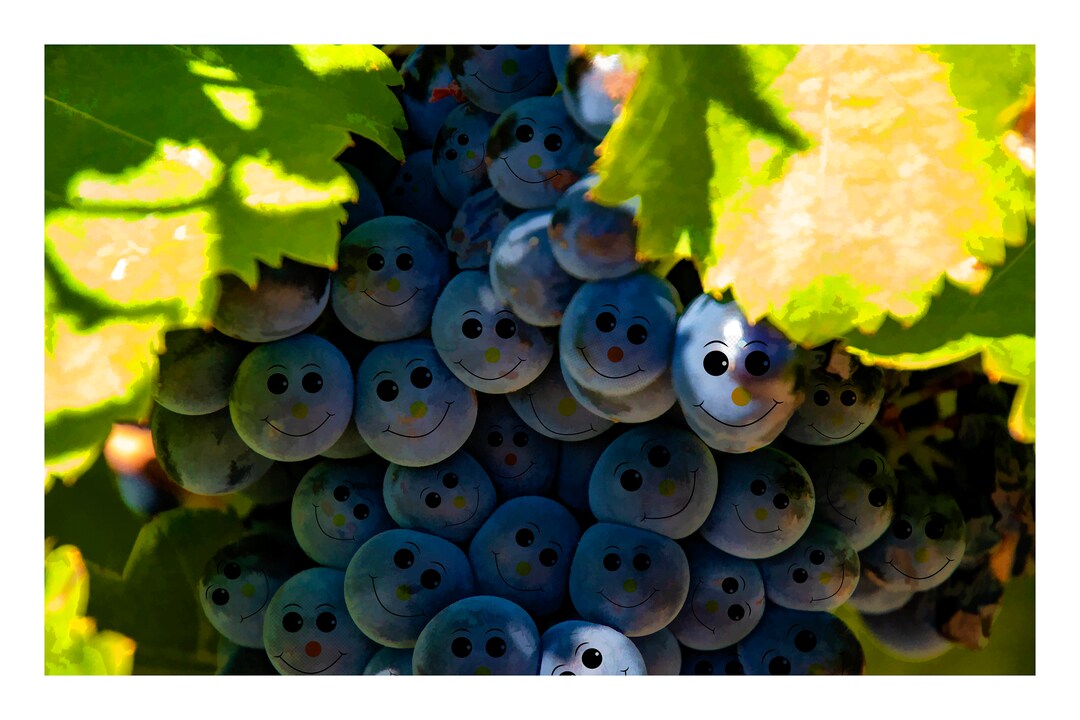 Happy Grapes - Etsy