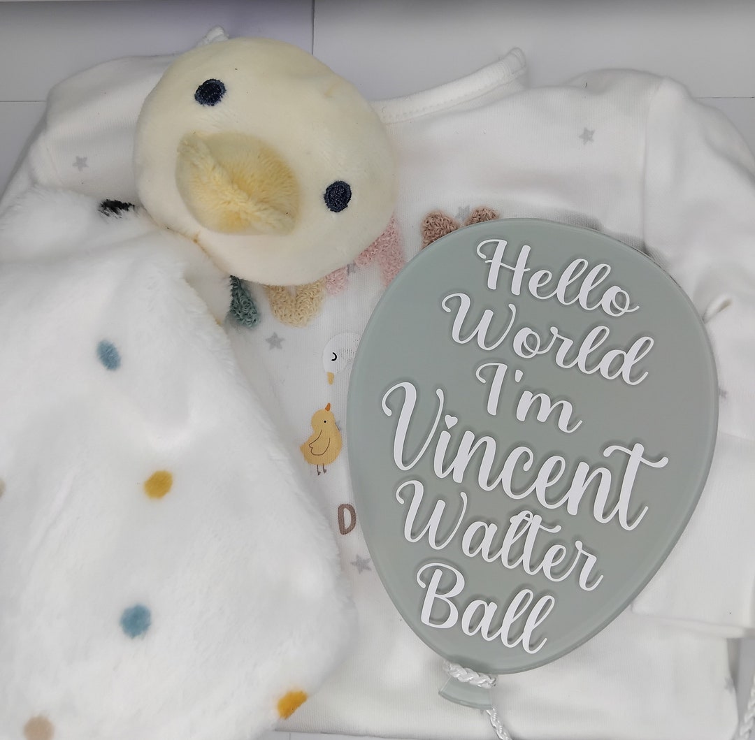 Personalised Baby Name Balloon Sign / Hello World My Name is Plaque ...