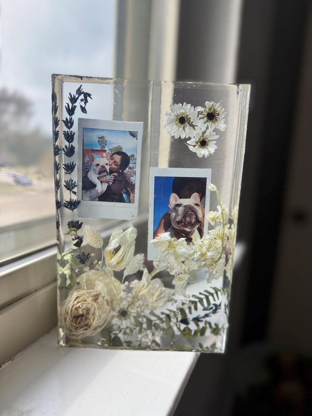 Custom Preservation Baby, Sentimental,pet, Memorial Keepsake, Frame ...