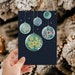Witchy Christmas Greeting Card Pack of 5, Assorted Cards, 4"x6" Sizes ...