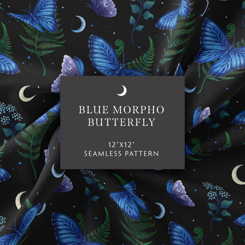 Moonlight Butterfly Begonia - Etsy