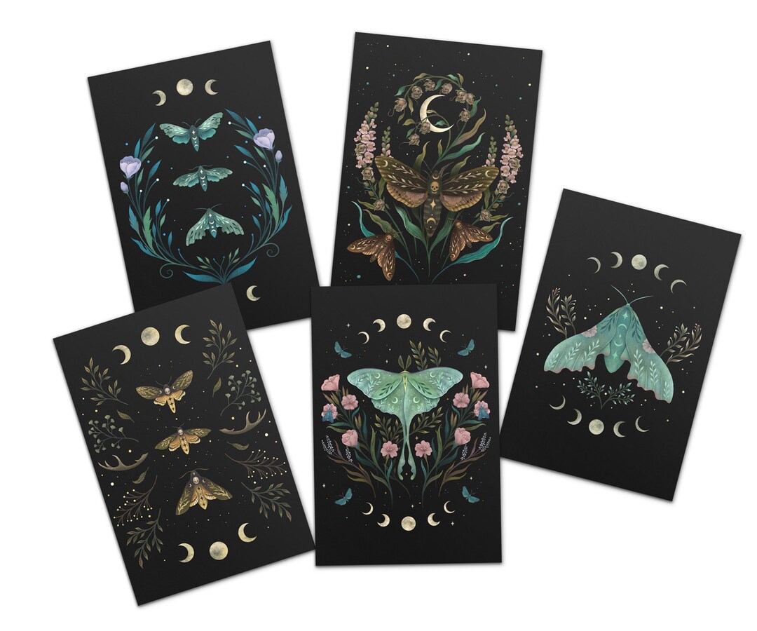 Magical Moth Card Pack of 5, Assorted Illustration Cards, 4"x6" Sizes ...