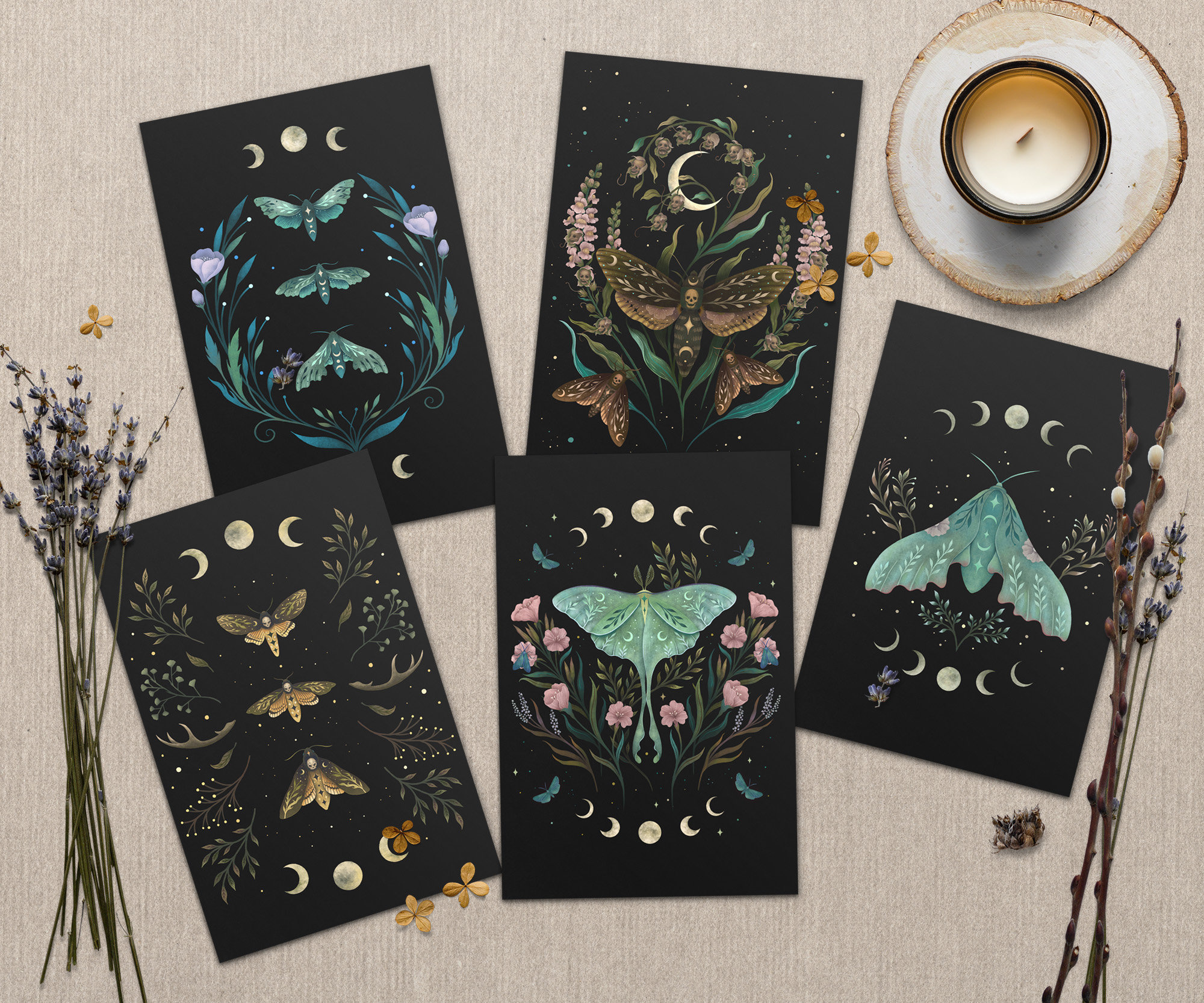 Magical Moth Card Pack of 5 Assorted Illustration Cards - Etsy