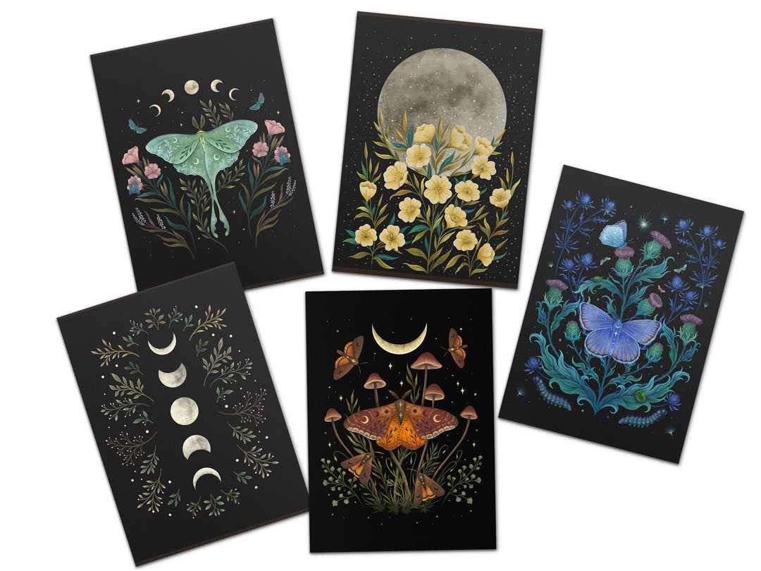 Moonlit Greeting Card Pack of 5, Assorted Luna Cards, 4"x6" Sizes ...