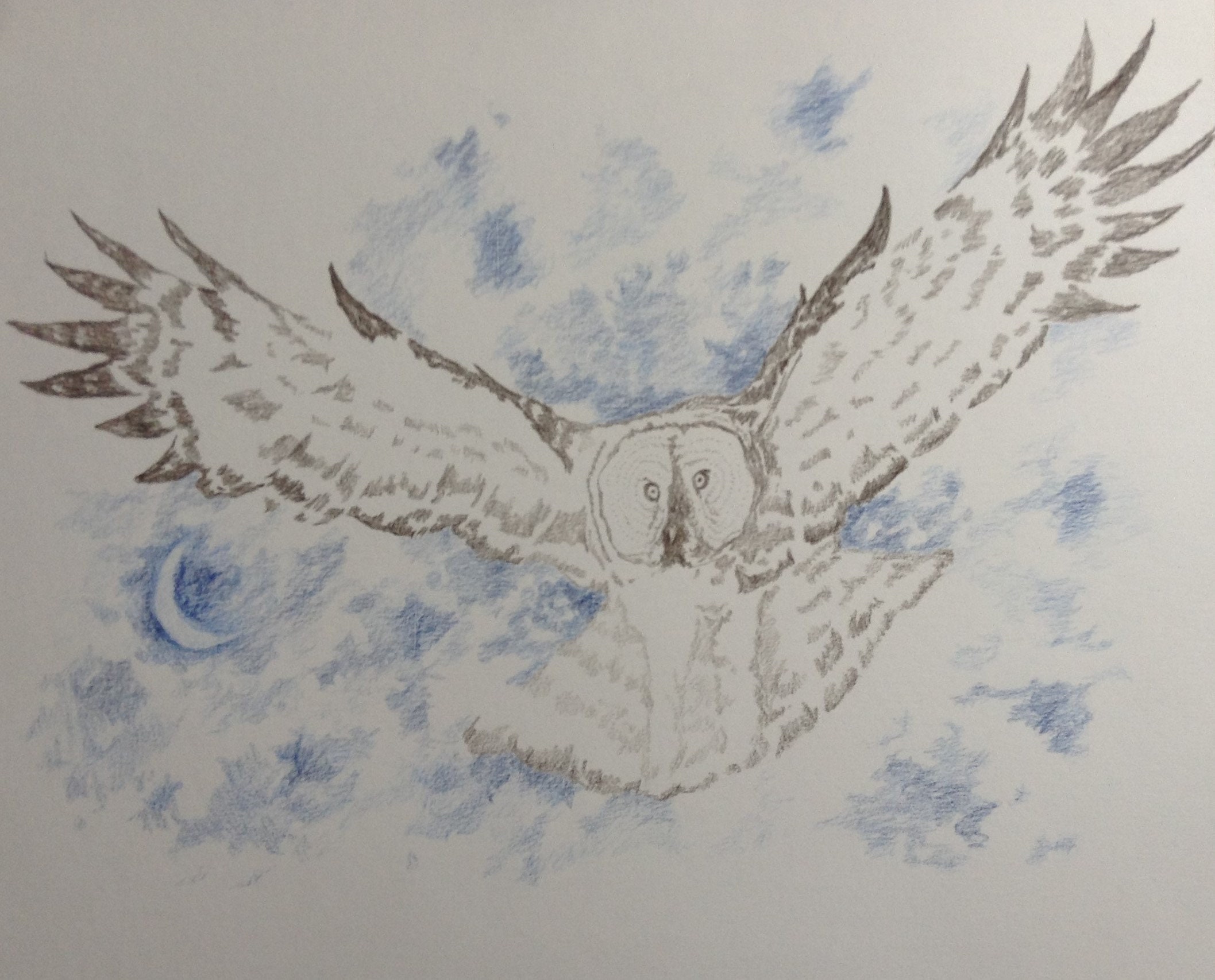 Hedwig Owl Drawing