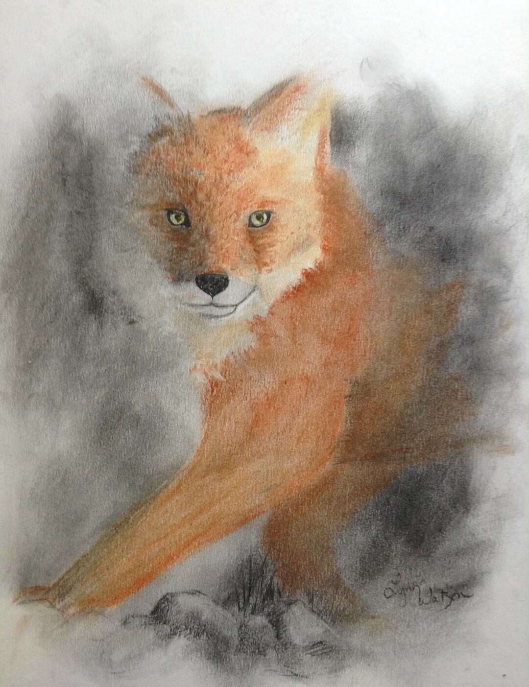 Fox Print or Canvas Charcoal and Pastel Art Wildlife Home Decor Fox ...