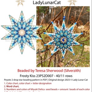 Christmas Star Beading Tutorial Peyote 2 Drop Star Pattern for Beading ...