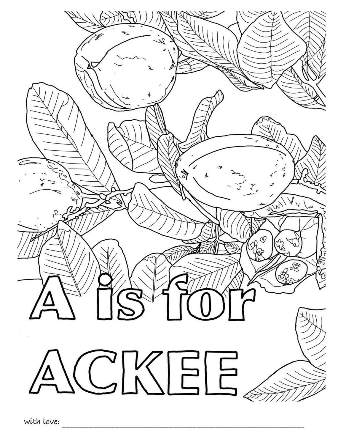Baby’s 1st Caribbean ABC Colouring Book Keepsake - Etsy