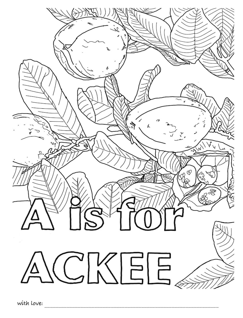 Baby’s 1st Caribbean ABC Colouring Book Keepsake - Etsy