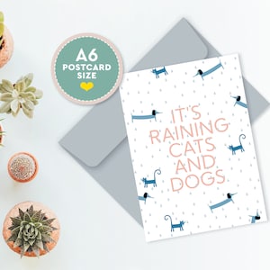 Dog Wall Art | It's Raining Cats and Dogs | Sausage Dog Art | Wiener ...