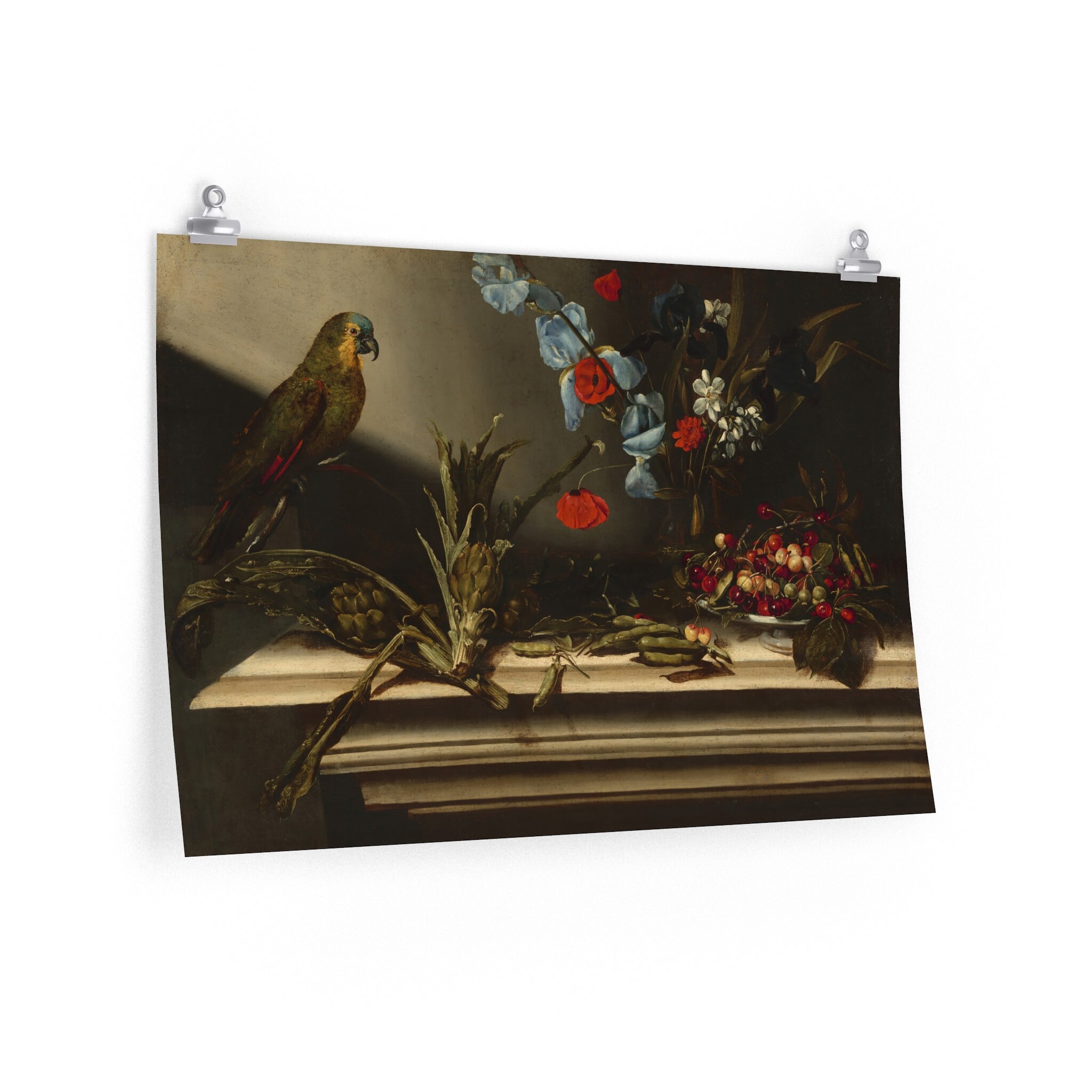 Parrot Still Life Art Print - Etsy