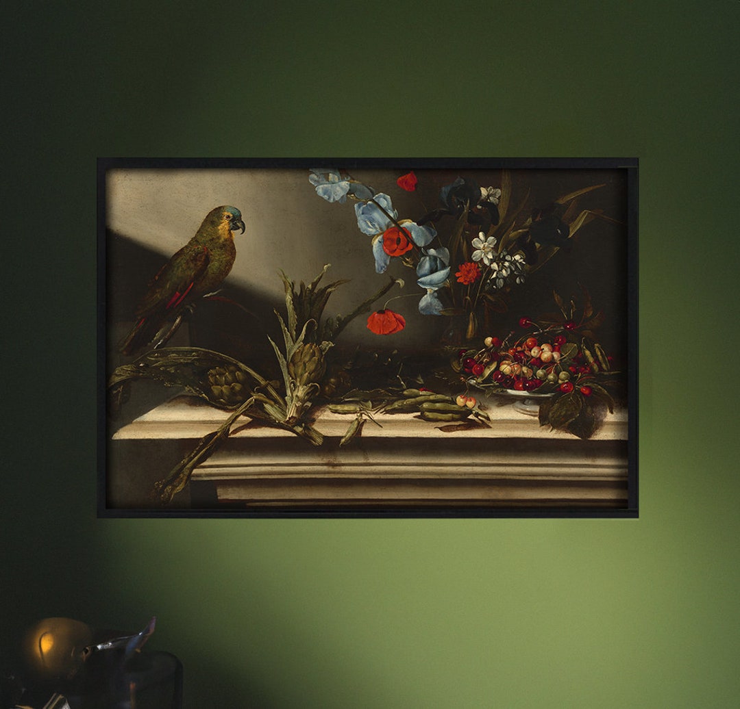 Parrot Still Life Art Print - Etsy