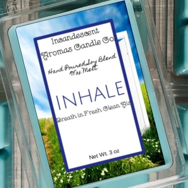 Clean Scent - Etsy