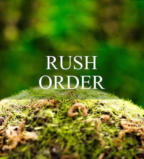 Rush Order - Etsy