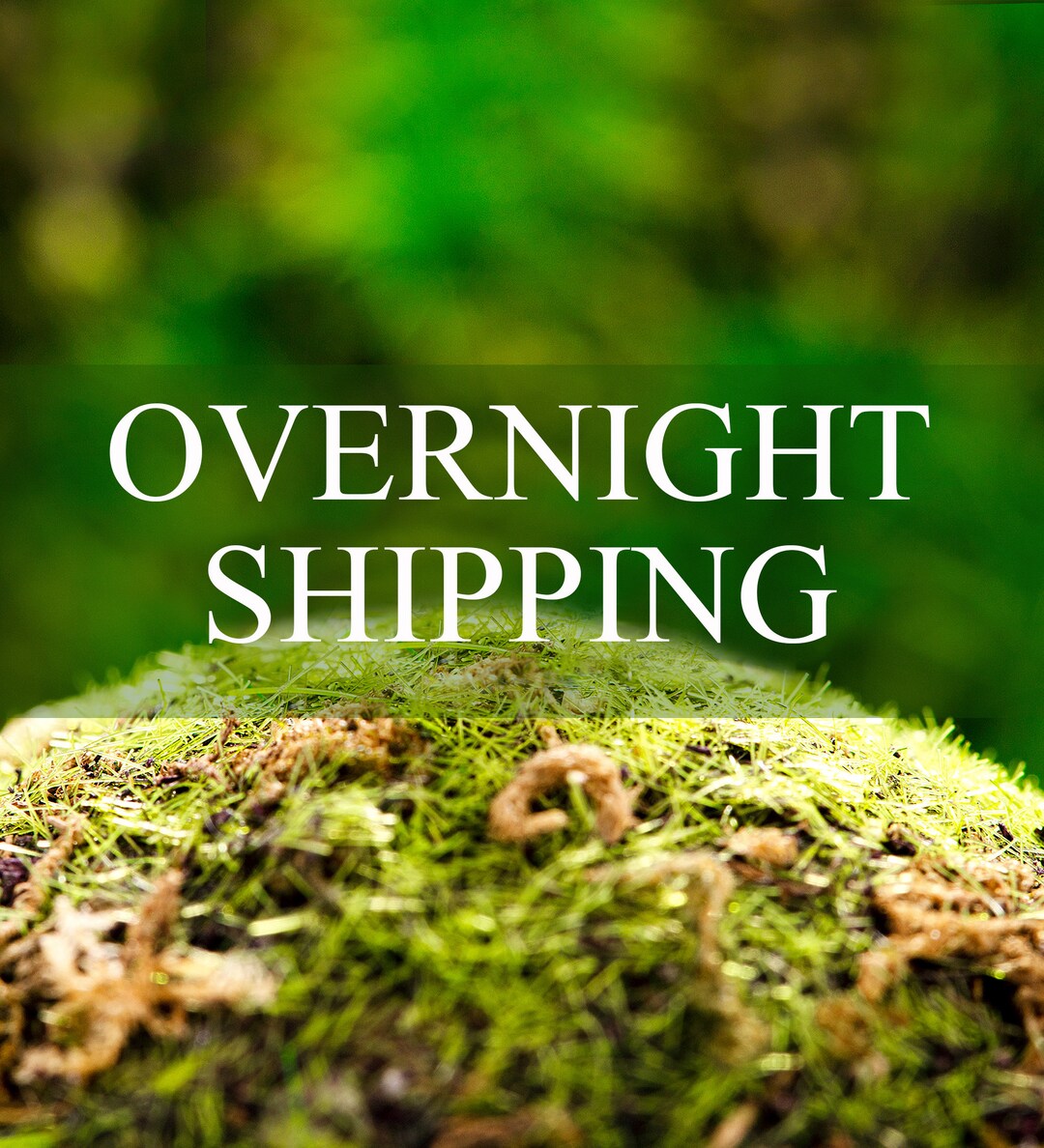 Overnight Shipping - Etsy