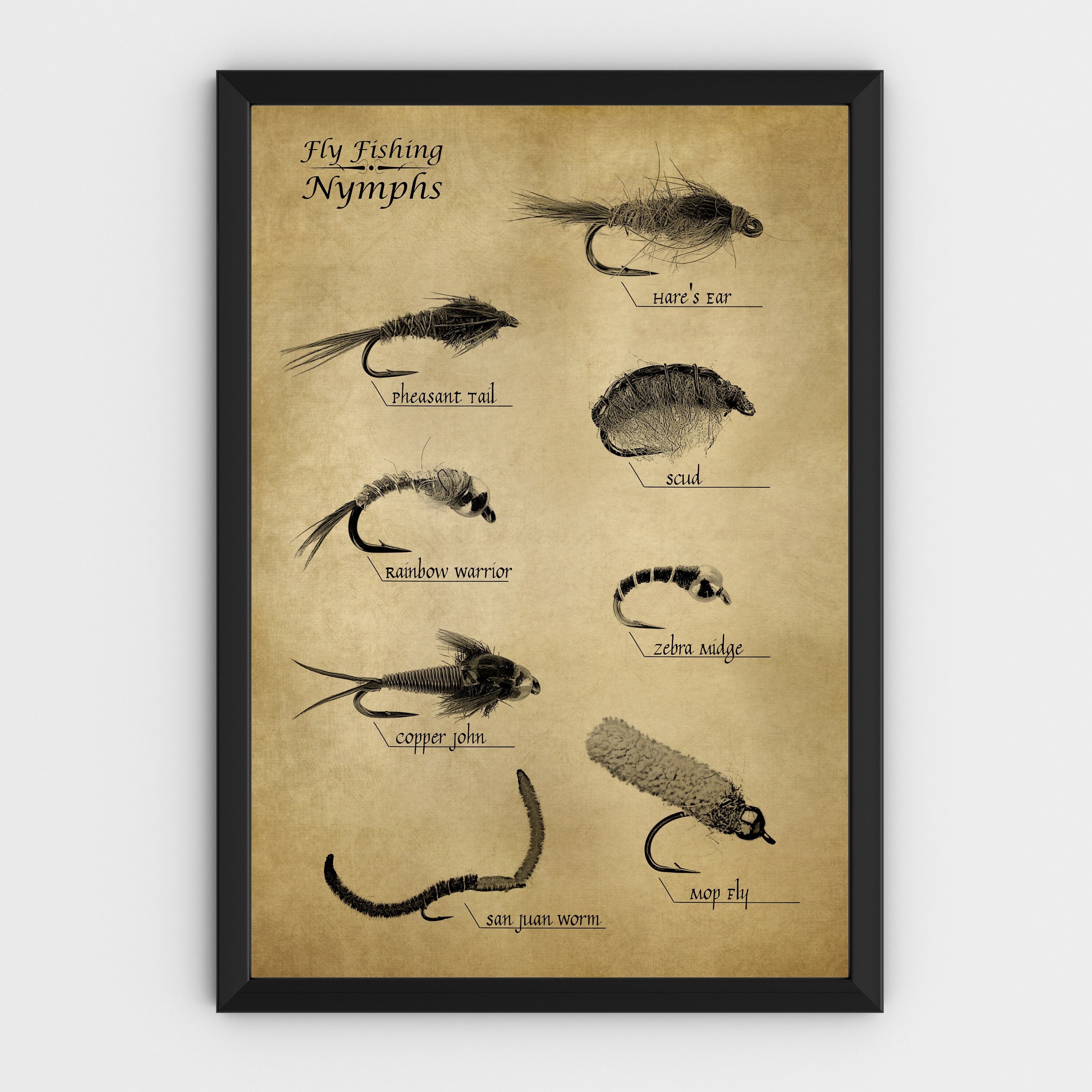 Fly Fishing NYMPHS Poster Wall Art Diagram Illustration - Etsy