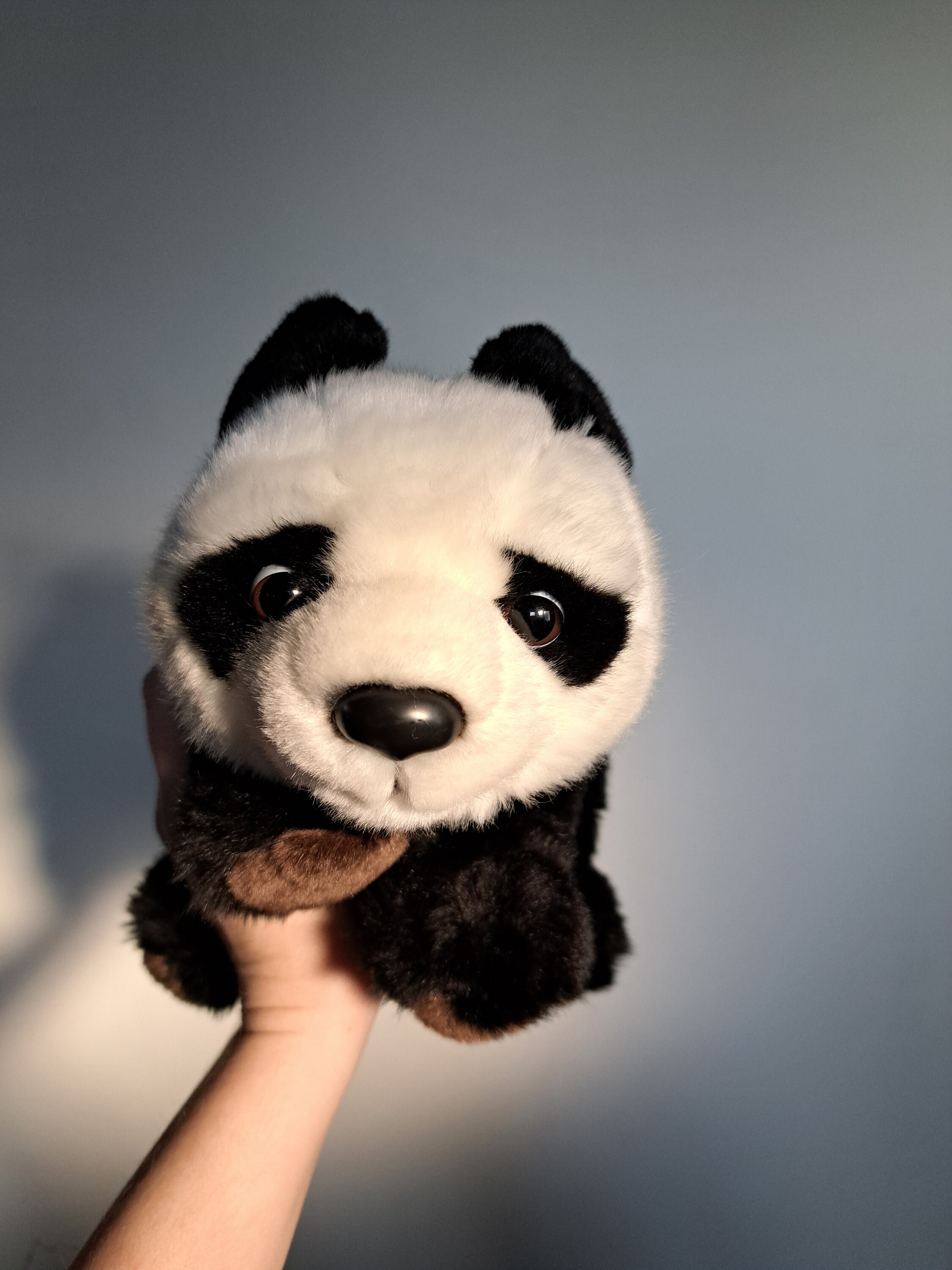 Webkinz Signature Panda - Etsy