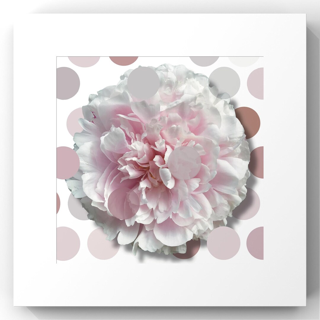 Light Pink Rose Flower Art Print, Wallflowers, Home Decor, Birthday ...