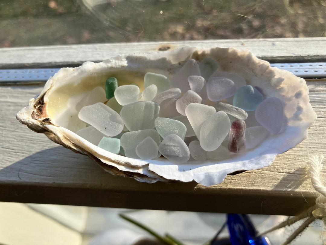 Seaglass Nuggets in a Sweet Oval Oyster Shell From Harpswell, Maine - Etsy