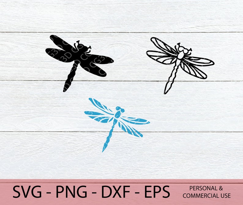 Insect Svg Files Bundle Bug Clipart Layered Insect Cut | Etsy