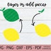 Lemon SVG Bundle - Lemon Slice SVG - Summer Fruit Dxf - Citrus ...