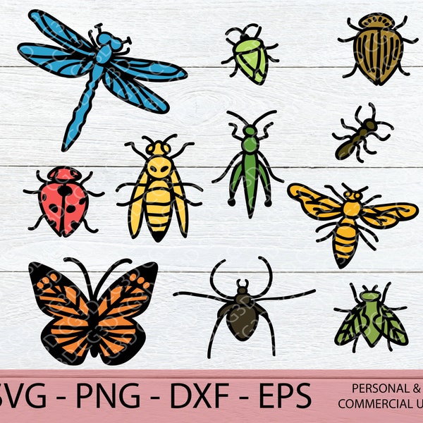 Insect Clipart - Etsy