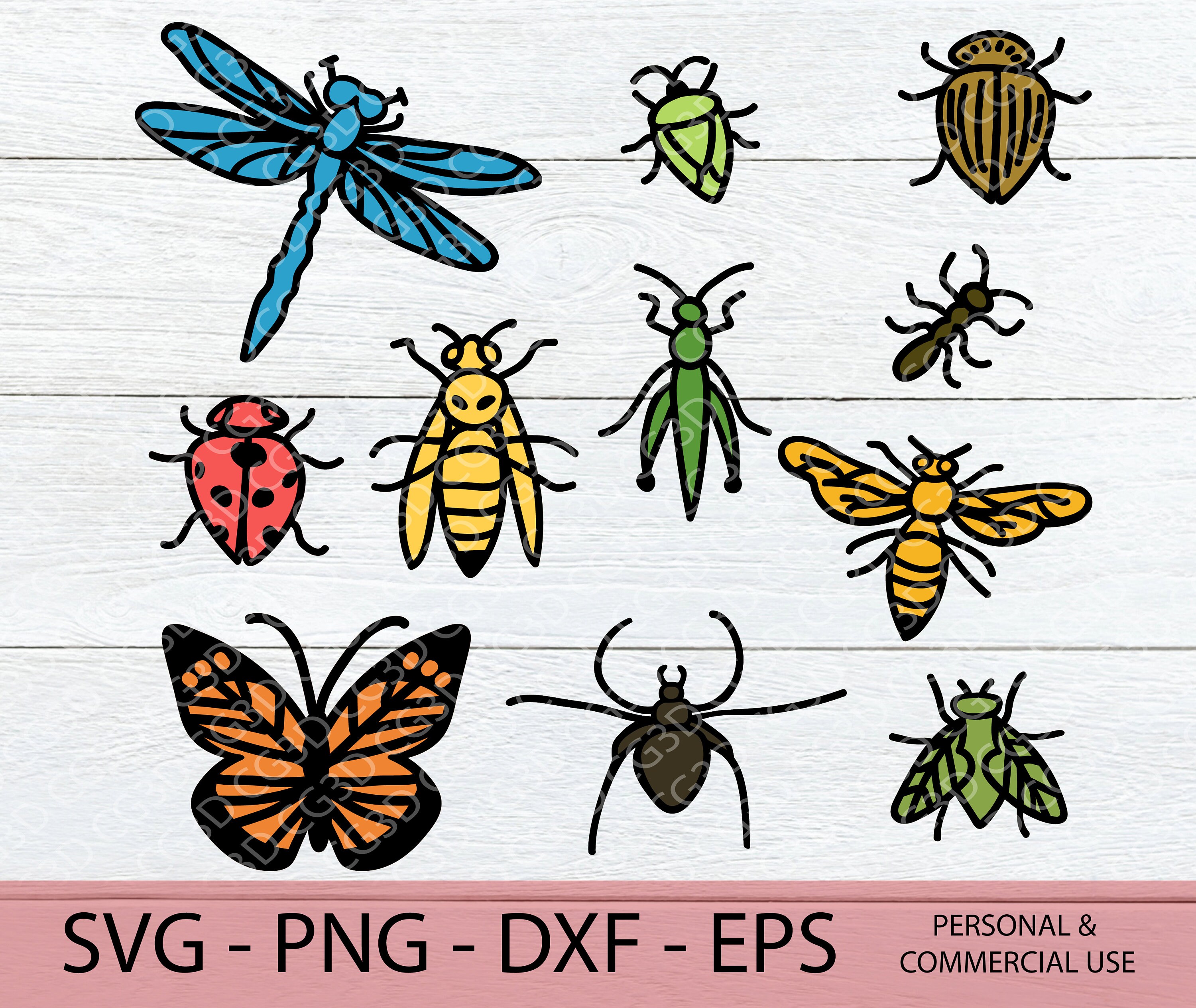 Insect Svg Files Bundle Bug Clipart Layered Insect Cut - Etsy UK