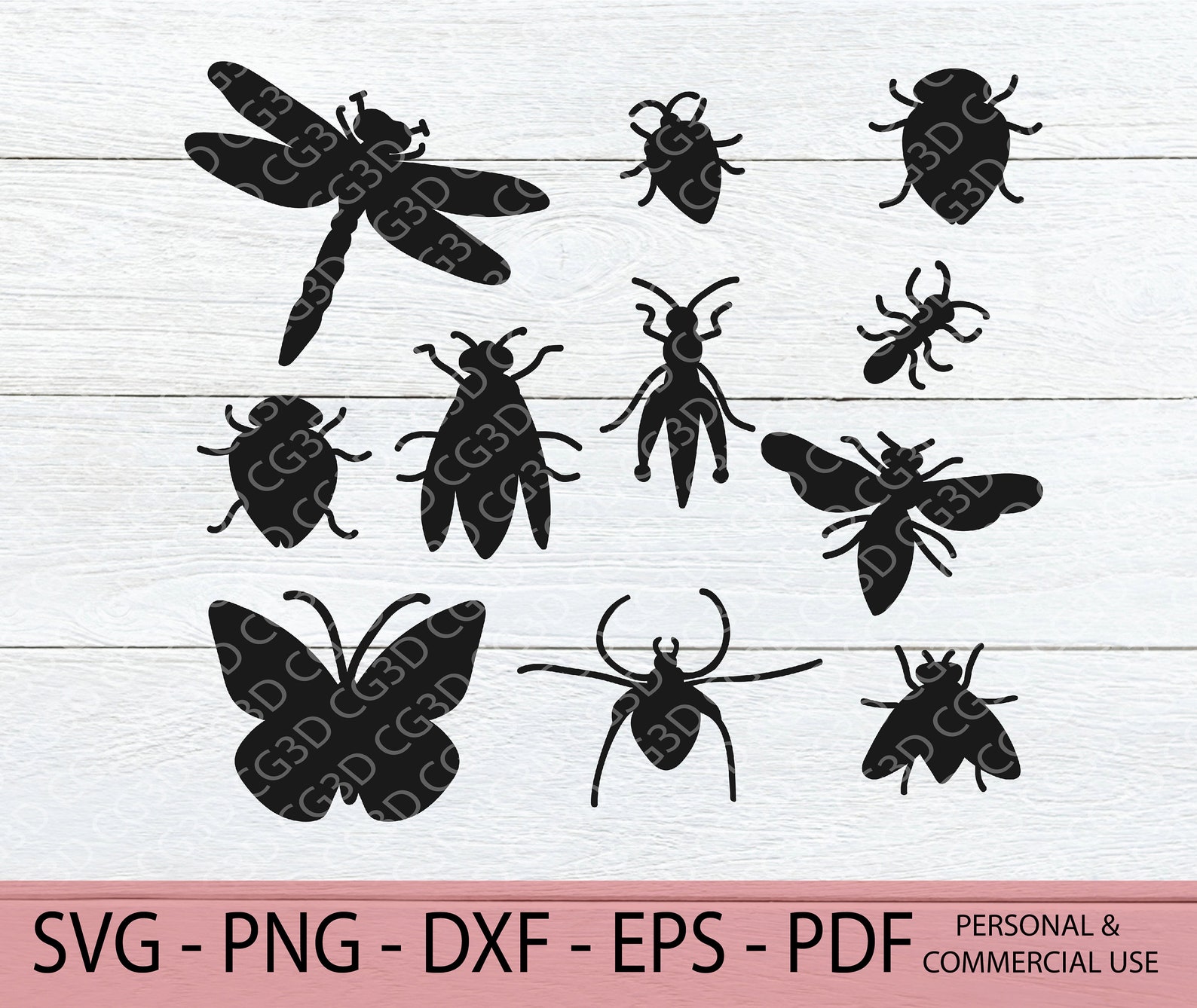 Insect Svg Files Bundle Bug Clipart Layered Insect Cut - Etsy