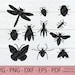 Insect Svg Files Bundle - Bug Clipart - Layered Insect Cut File ...