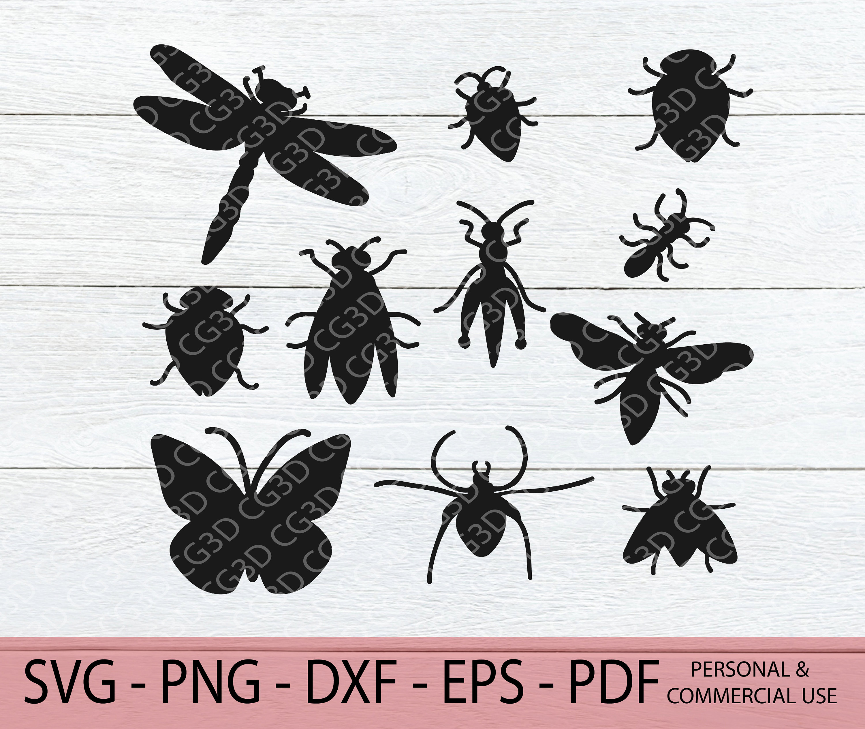 Insect Svg Files Bundle Bug Clipart Layered Insect Cut - Etsy