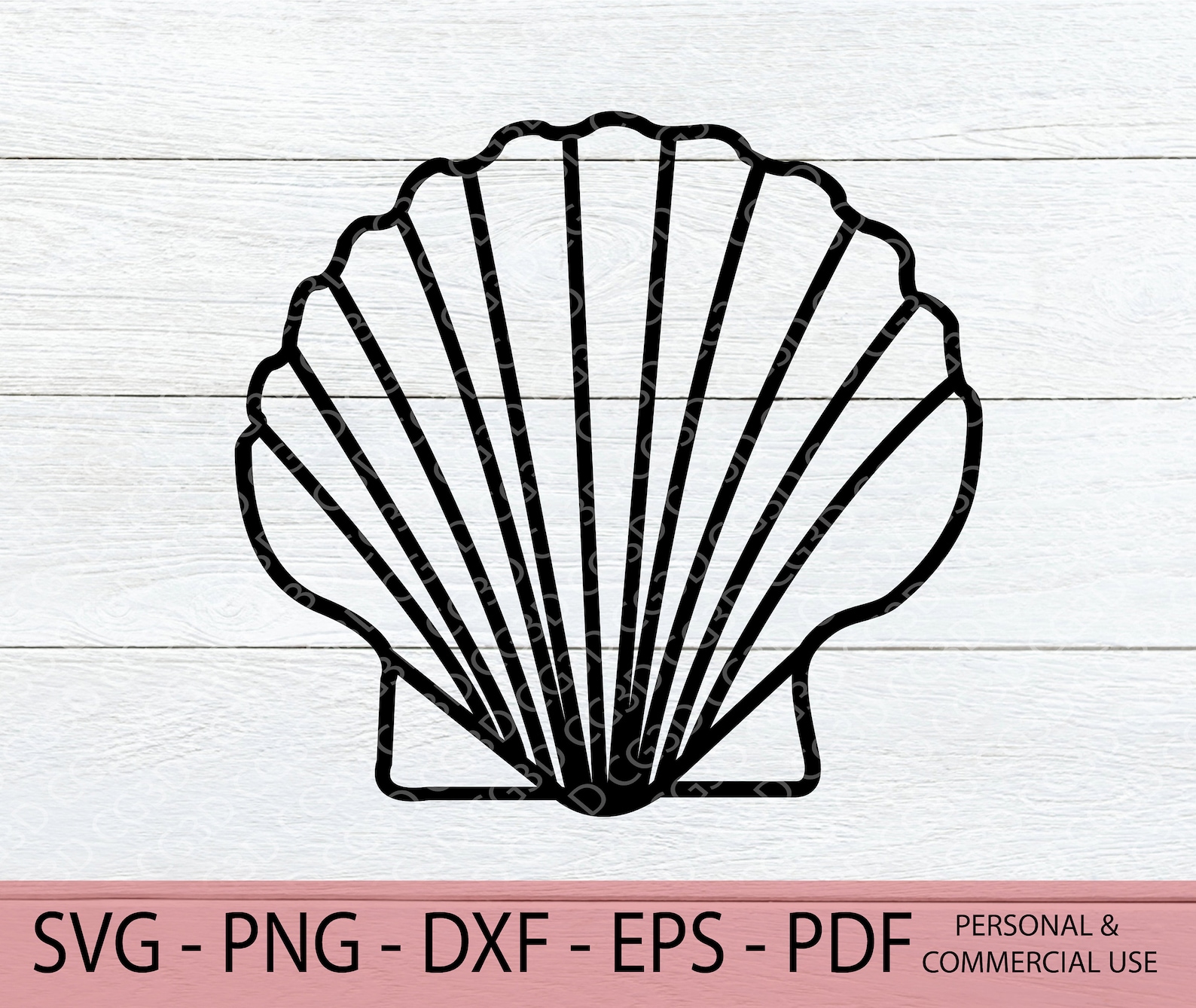 Seashell SVG Seashell Outline SVG Ocean Shell Png Beach | Etsy
